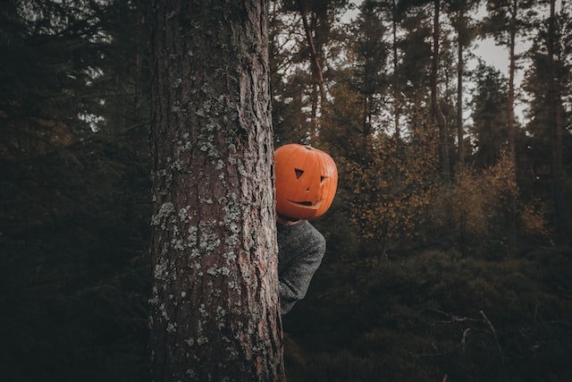 4 Tips for Your Spooky Season Photoshoot | My Social Book